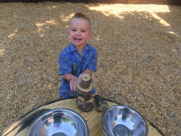 The Learning Turtle Preschool – Where Play is Children's Work!